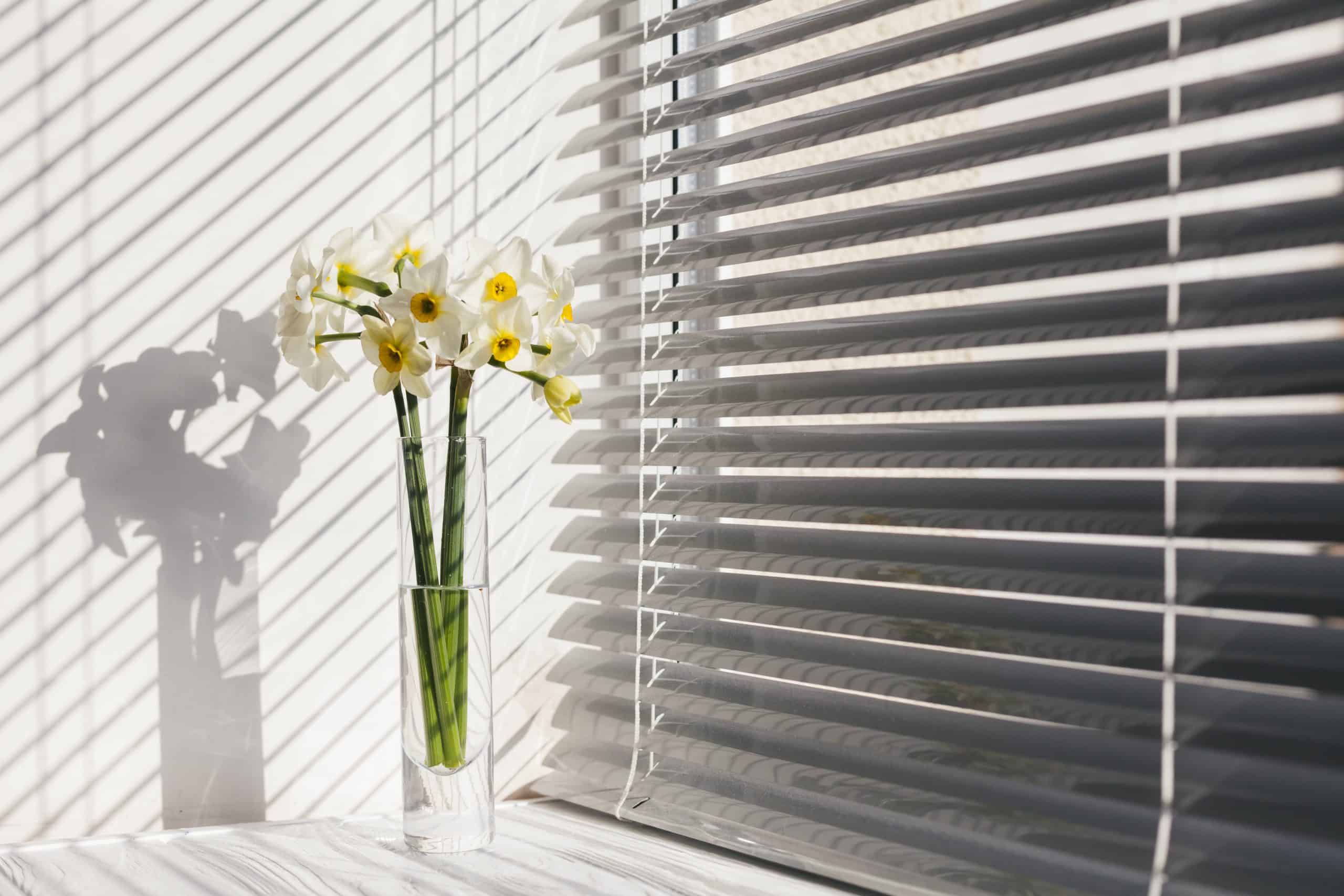 How to Choose Small Window Blinds - HTR Windows and Doors